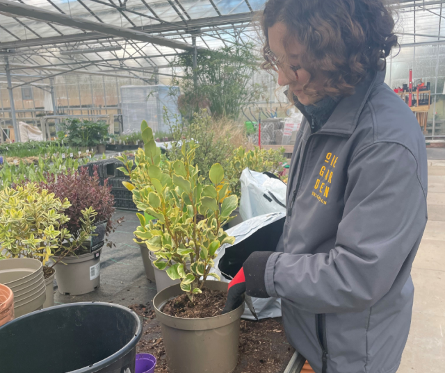 Level 2 Technical Certificate in Horticulture (Professional Pathway ...